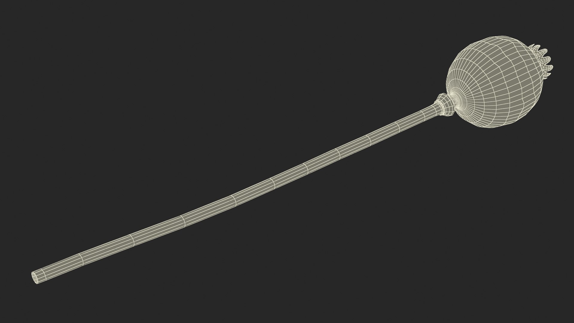 Dry Poppy Seed Plant 3D model - TurboSquid 2007270