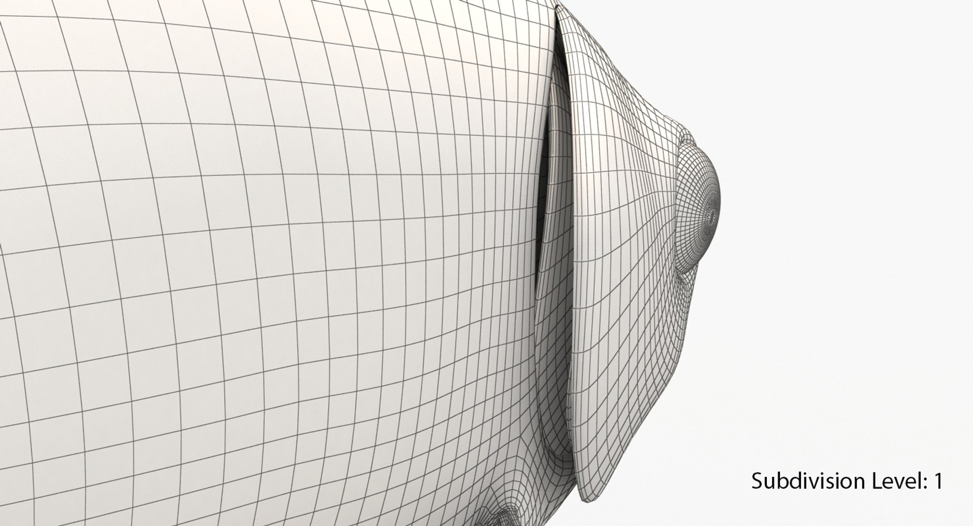 Silver Fish Animation 3D Model - TurboSquid 1180111