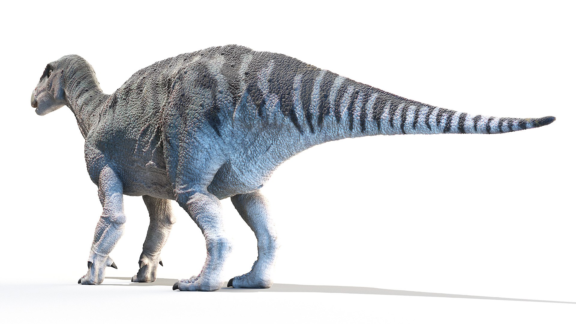 3D Iguanodon Model - TurboSquid 1640102