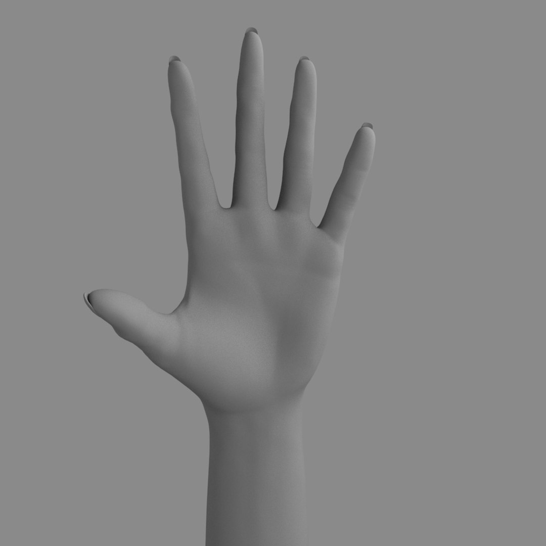 Female Hand 3d Model