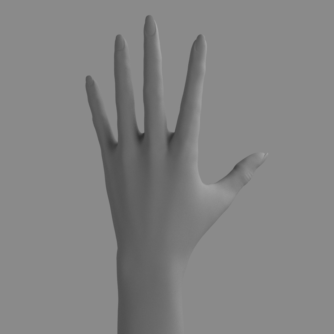 Female Hand 3d Model