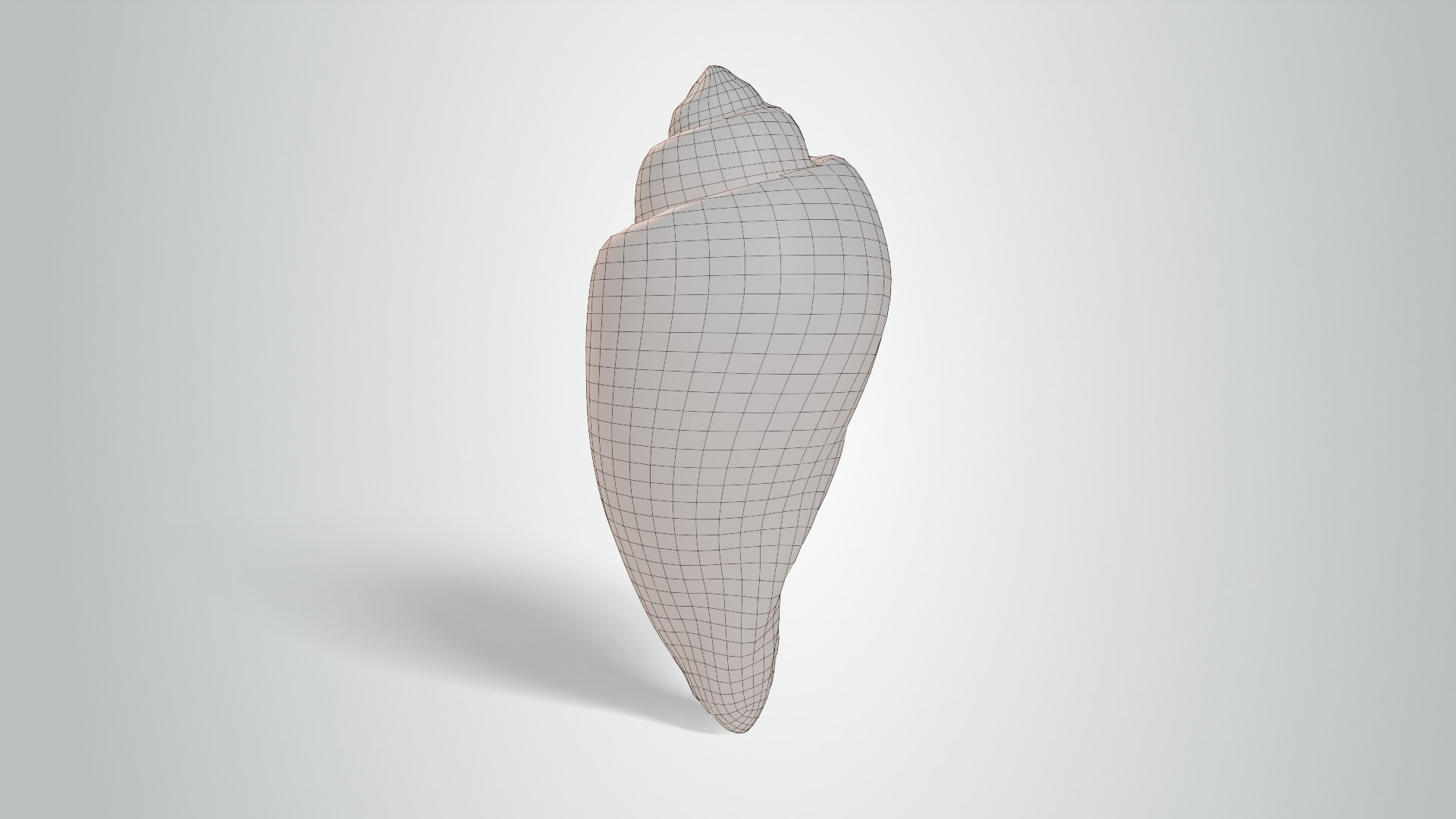 Free 3D Junonia Shell - TurboSquid 2349225