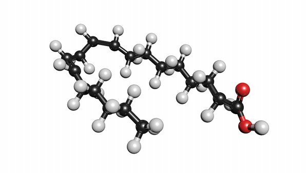 3D c6h13no2 molecule leucine model - TurboSquid 1424861