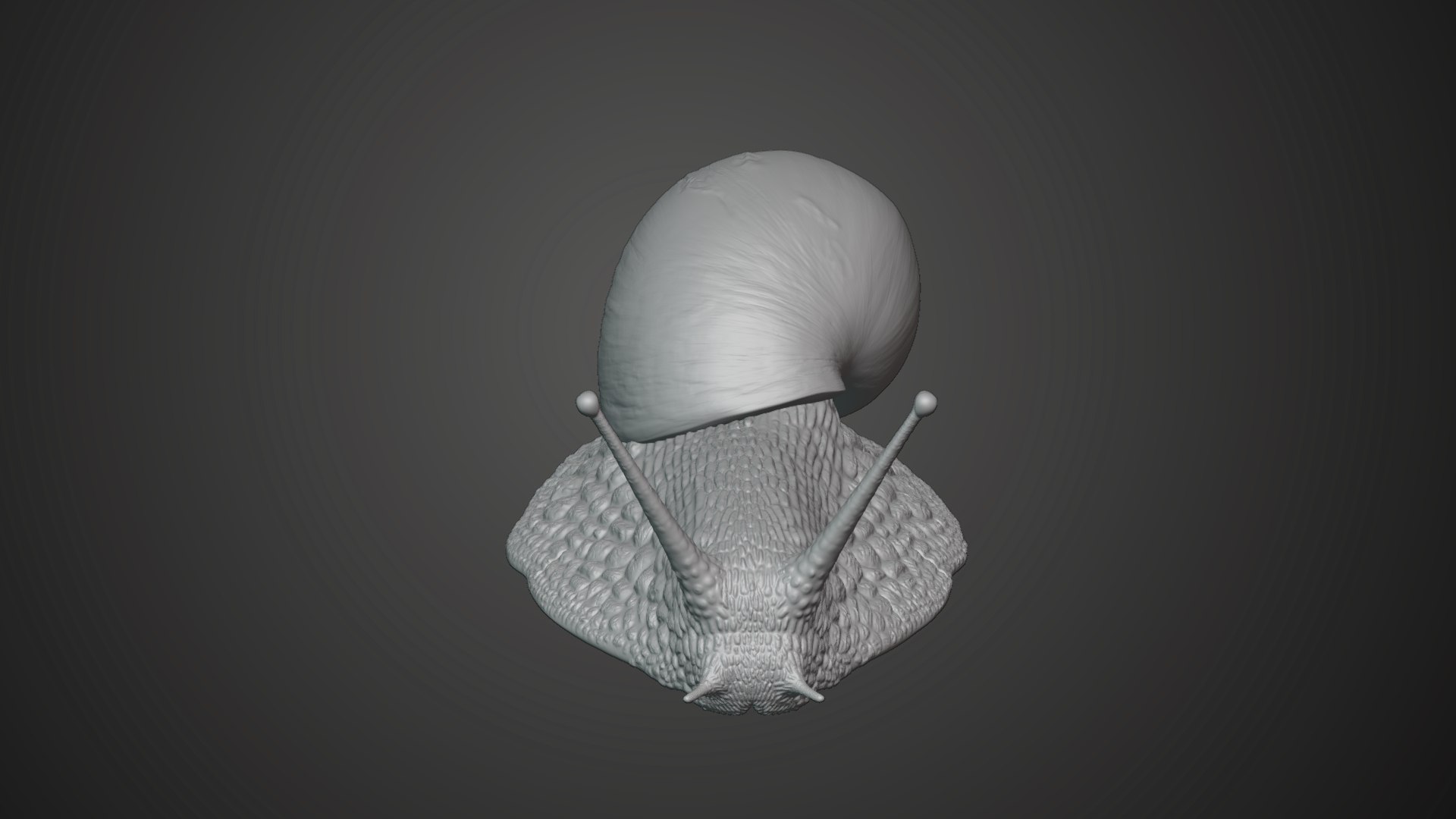 African Snail Animated 3D - TurboSquid 2080959