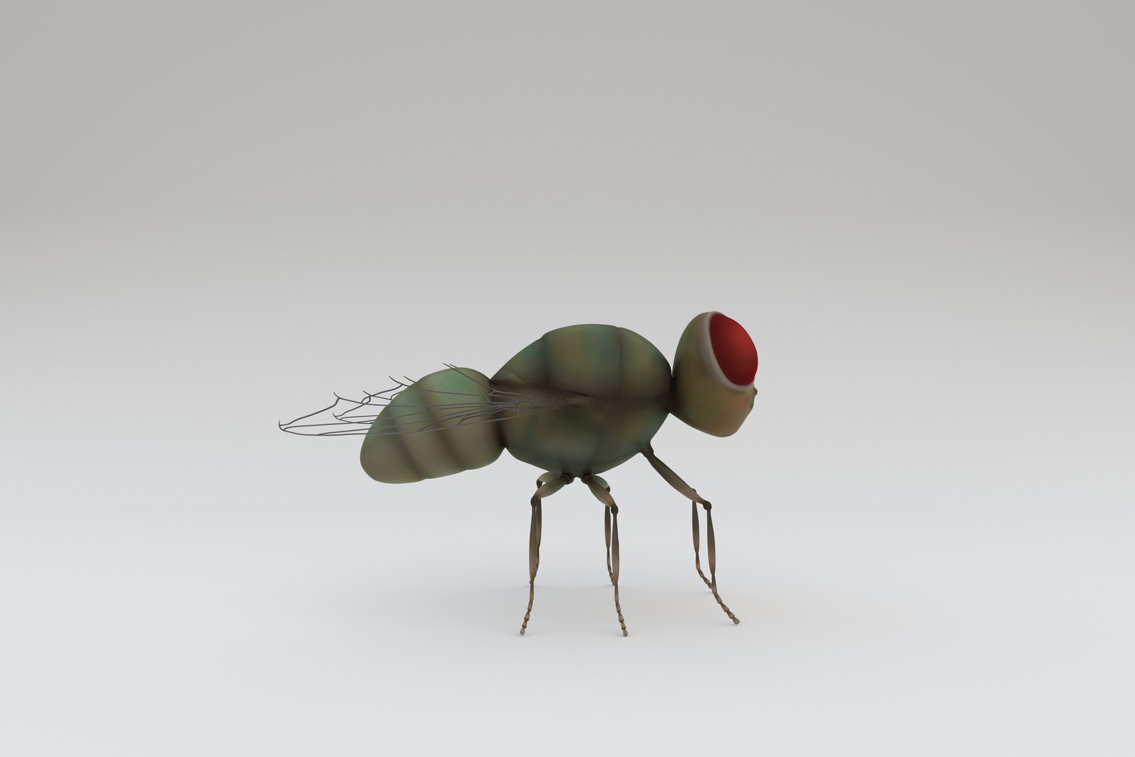 House Fly ANIMATED 3D Model - TurboSquid 1986544