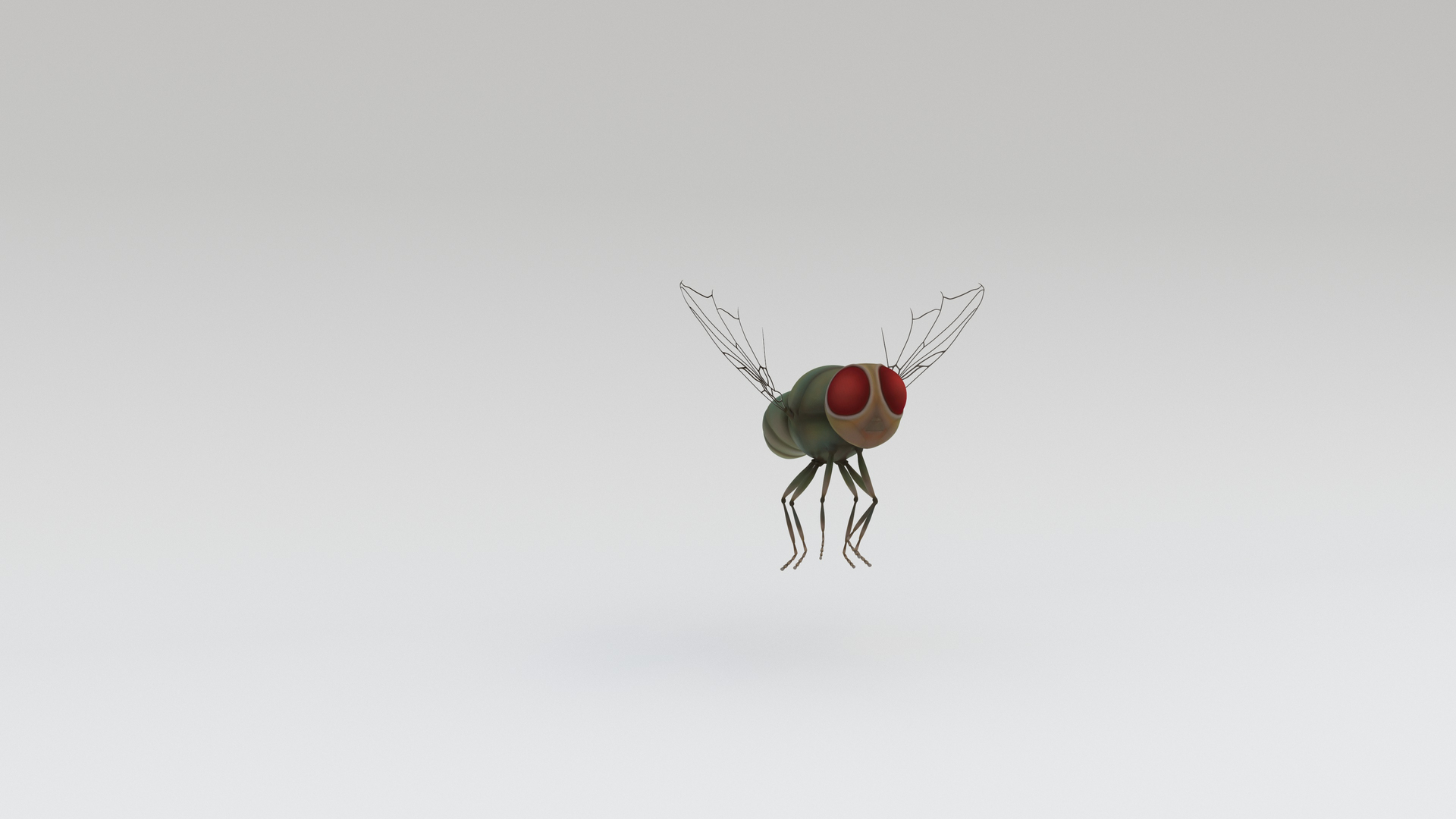 House Fly ANIMATED 3D Model - TurboSquid 1986544