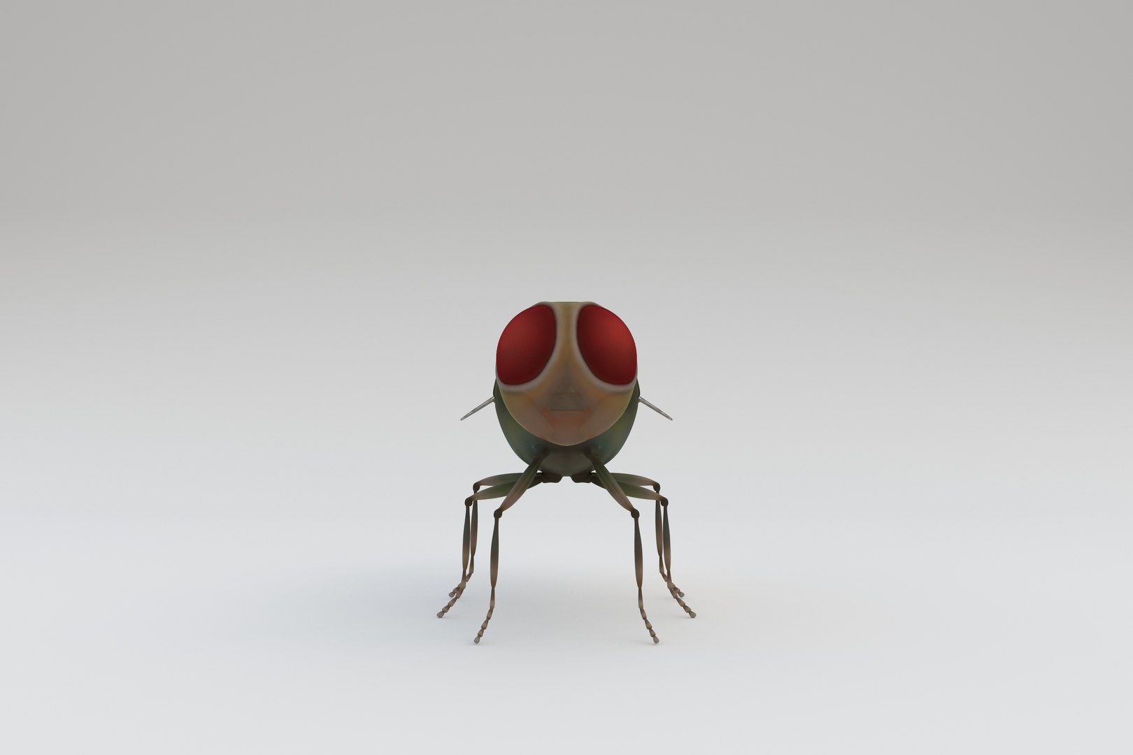 House Fly ANIMATED 3D Model - TurboSquid 1986544