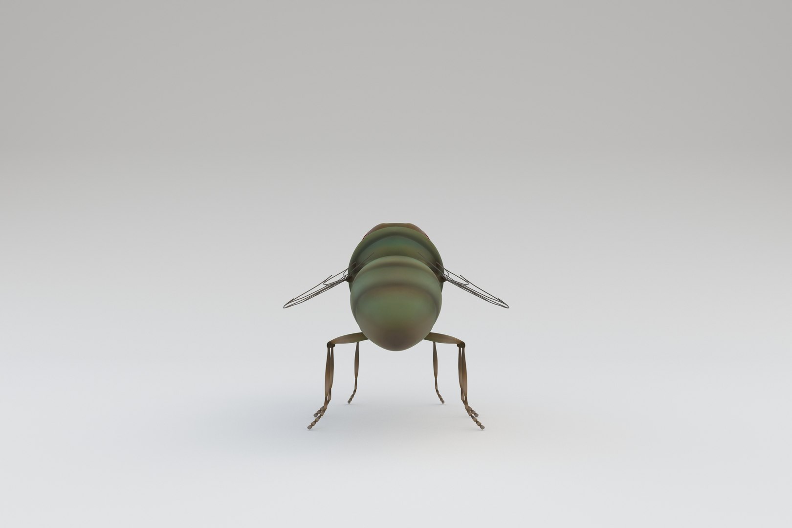 House Fly ANIMATED 3D Model - TurboSquid 1986544