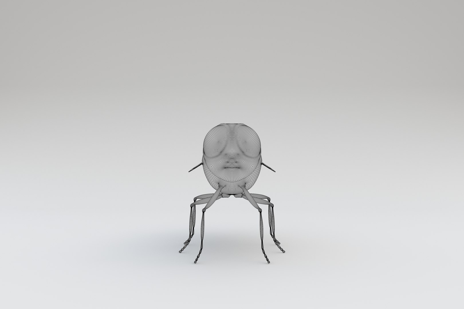 House Fly ANIMATED 3D Model - TurboSquid 1986544