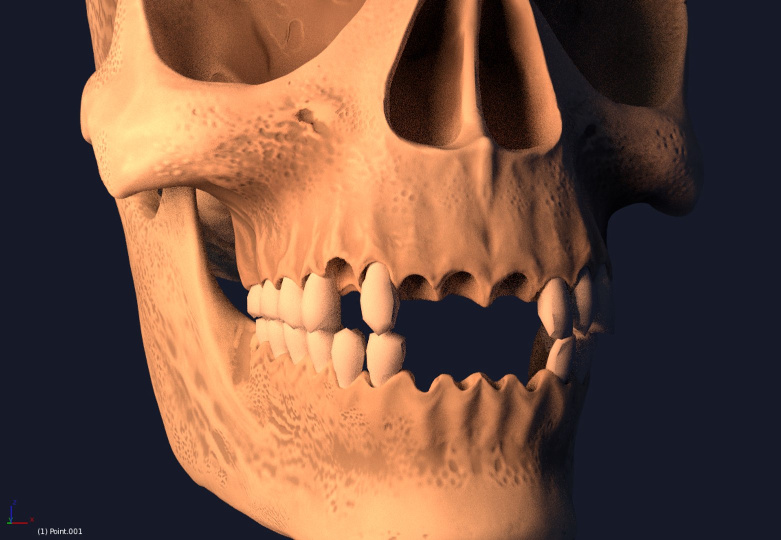 Blend Jaw Skull