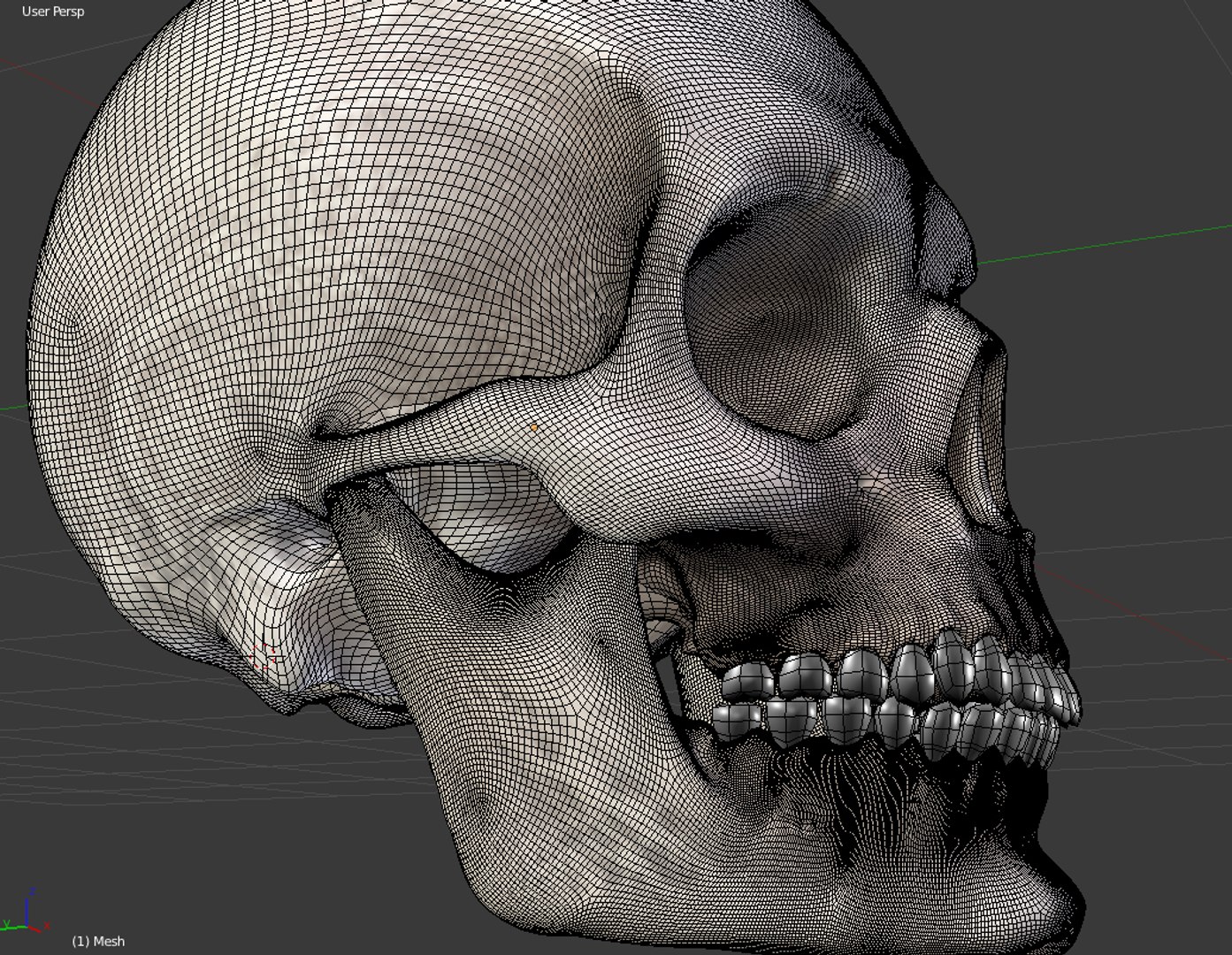 Blend Jaw Skull