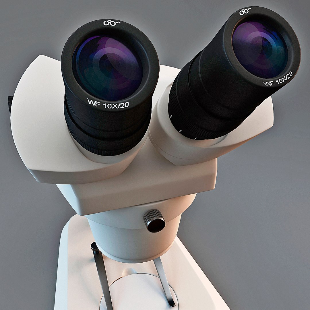 3ds Max Stereo Trinocular Microscope Xts