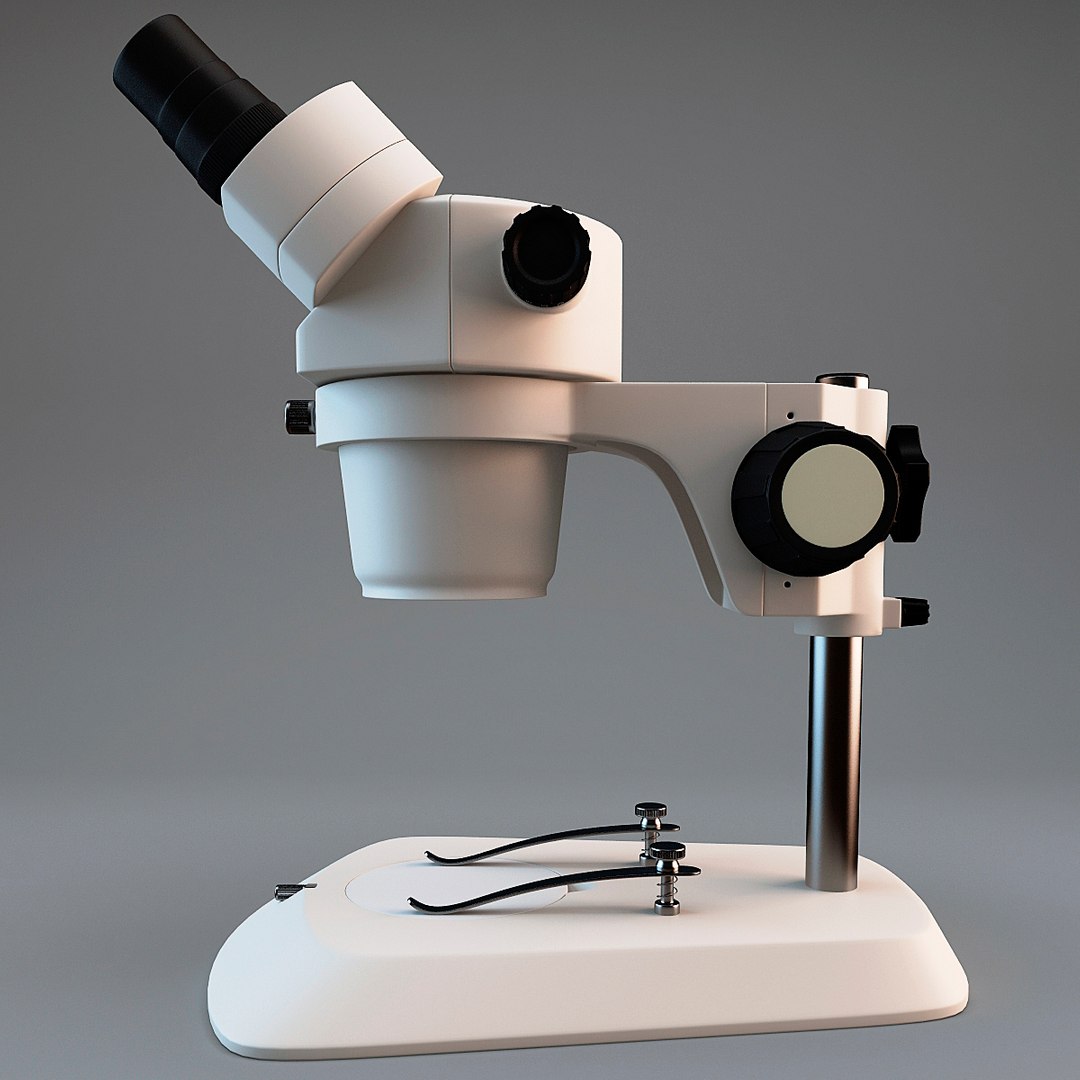 3ds Max Stereo Trinocular Microscope Xts