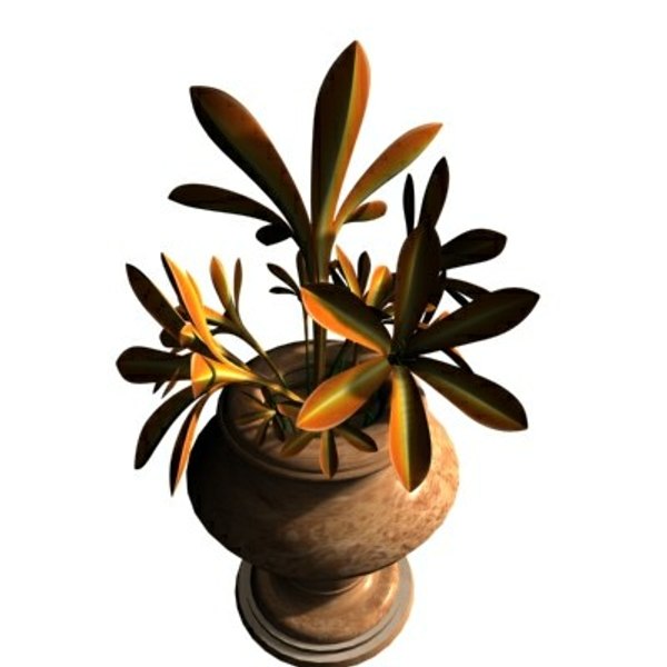 3ds max realistic flower animation open