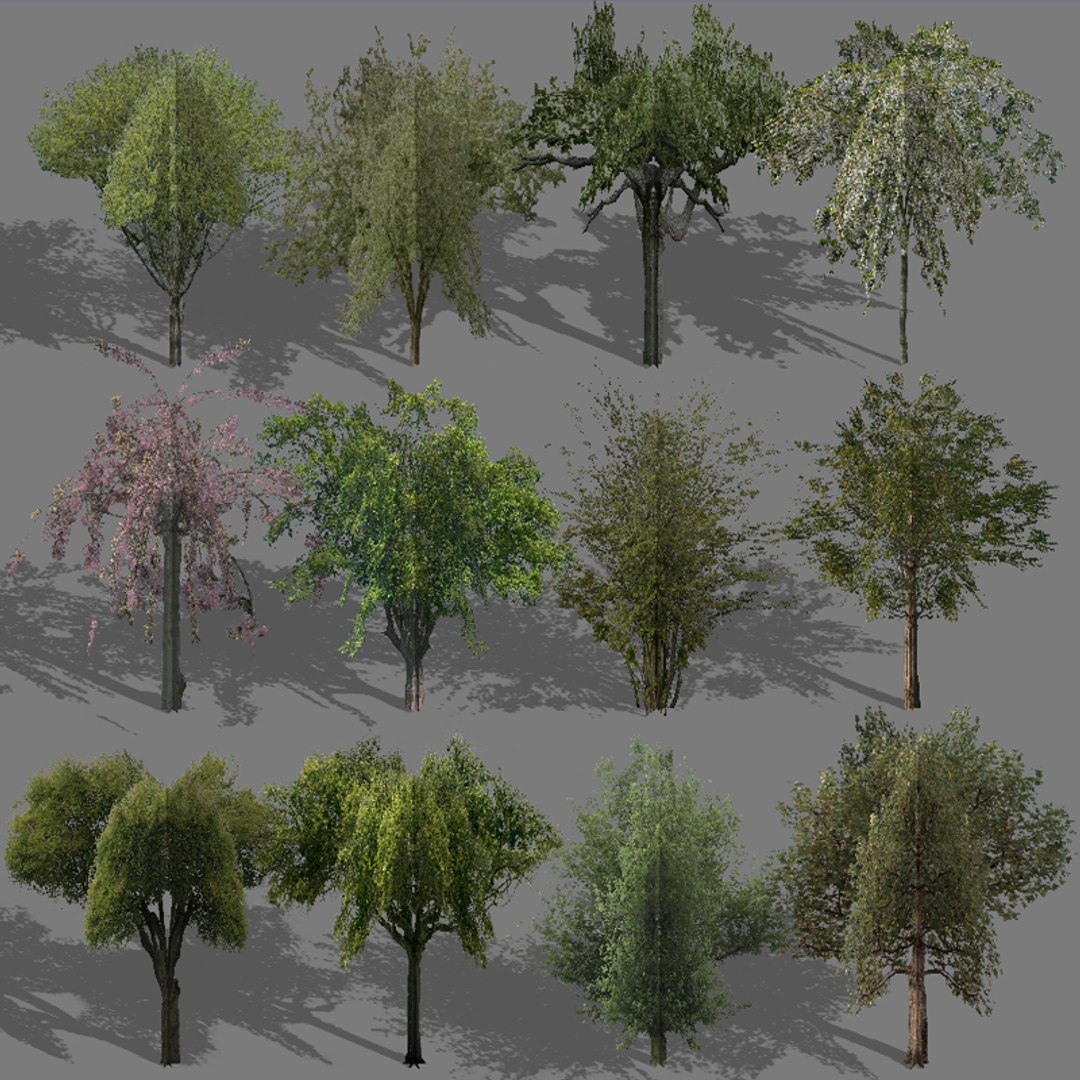 autumn trees 3d max