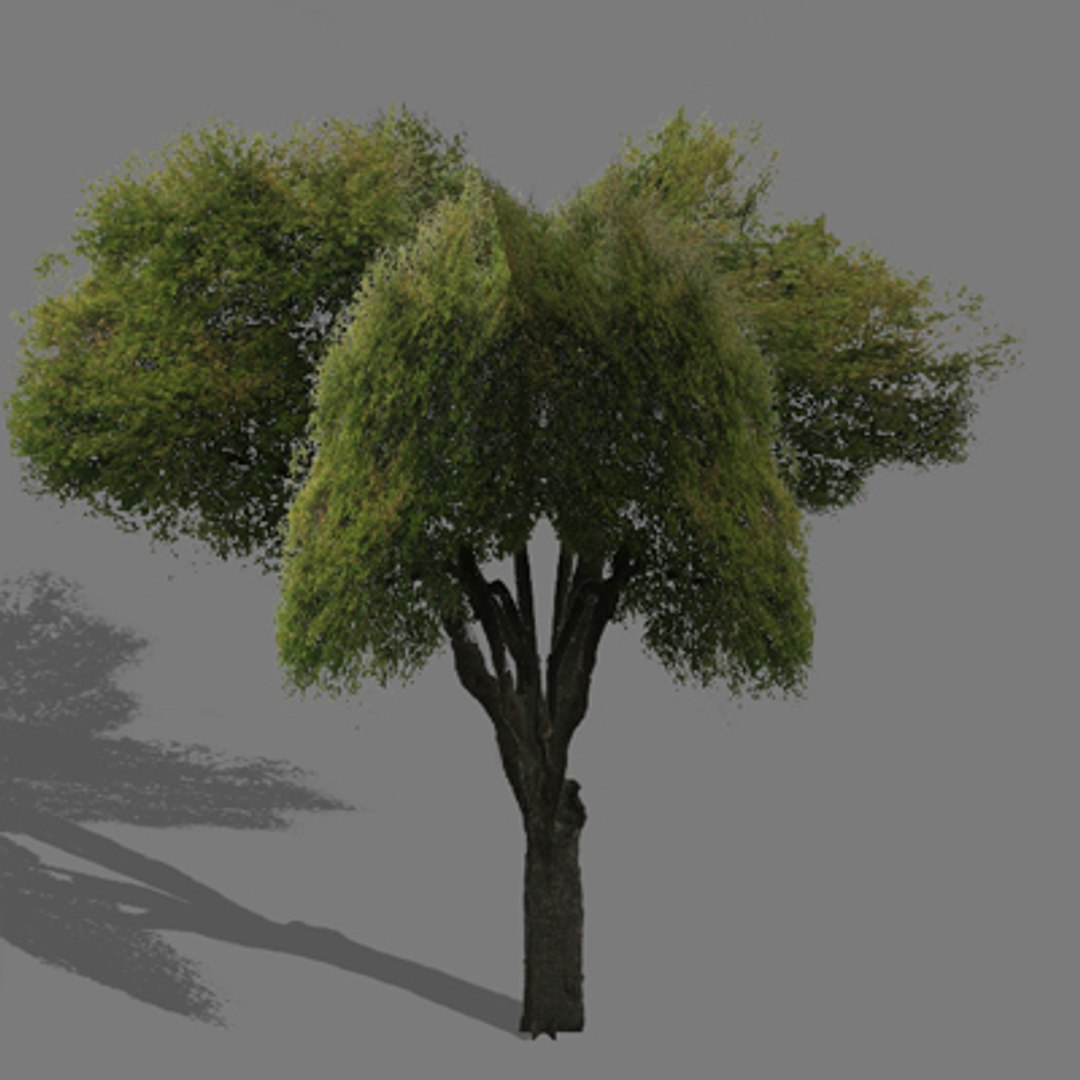 autumn trees 3d max