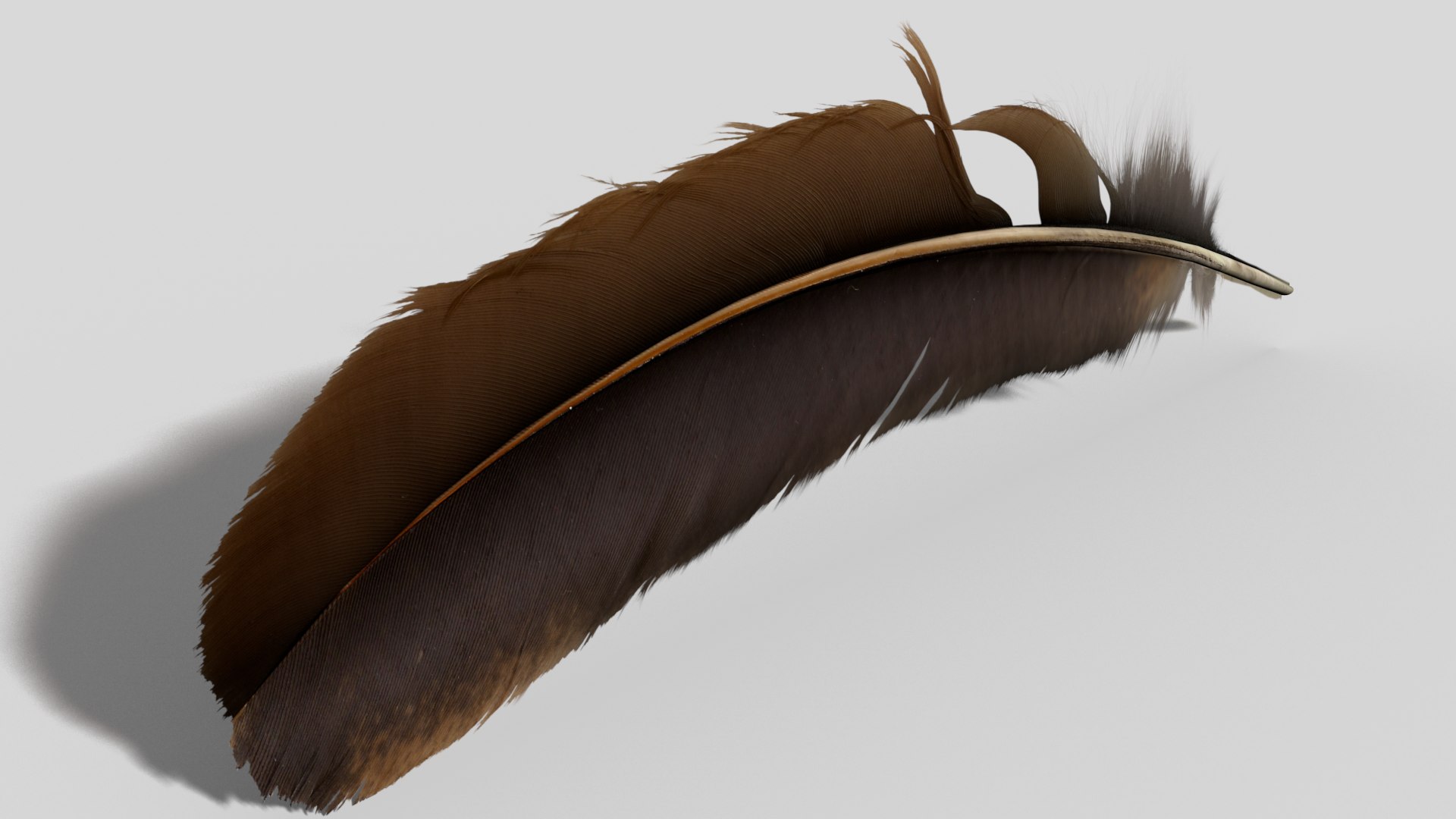 Feather 3ds
