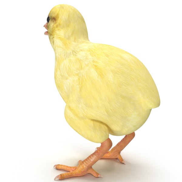chick modeled 3d max