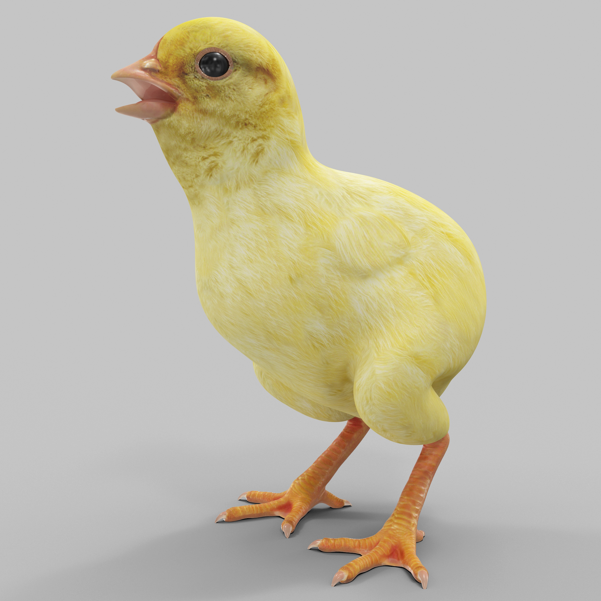 chick modeled 3d max