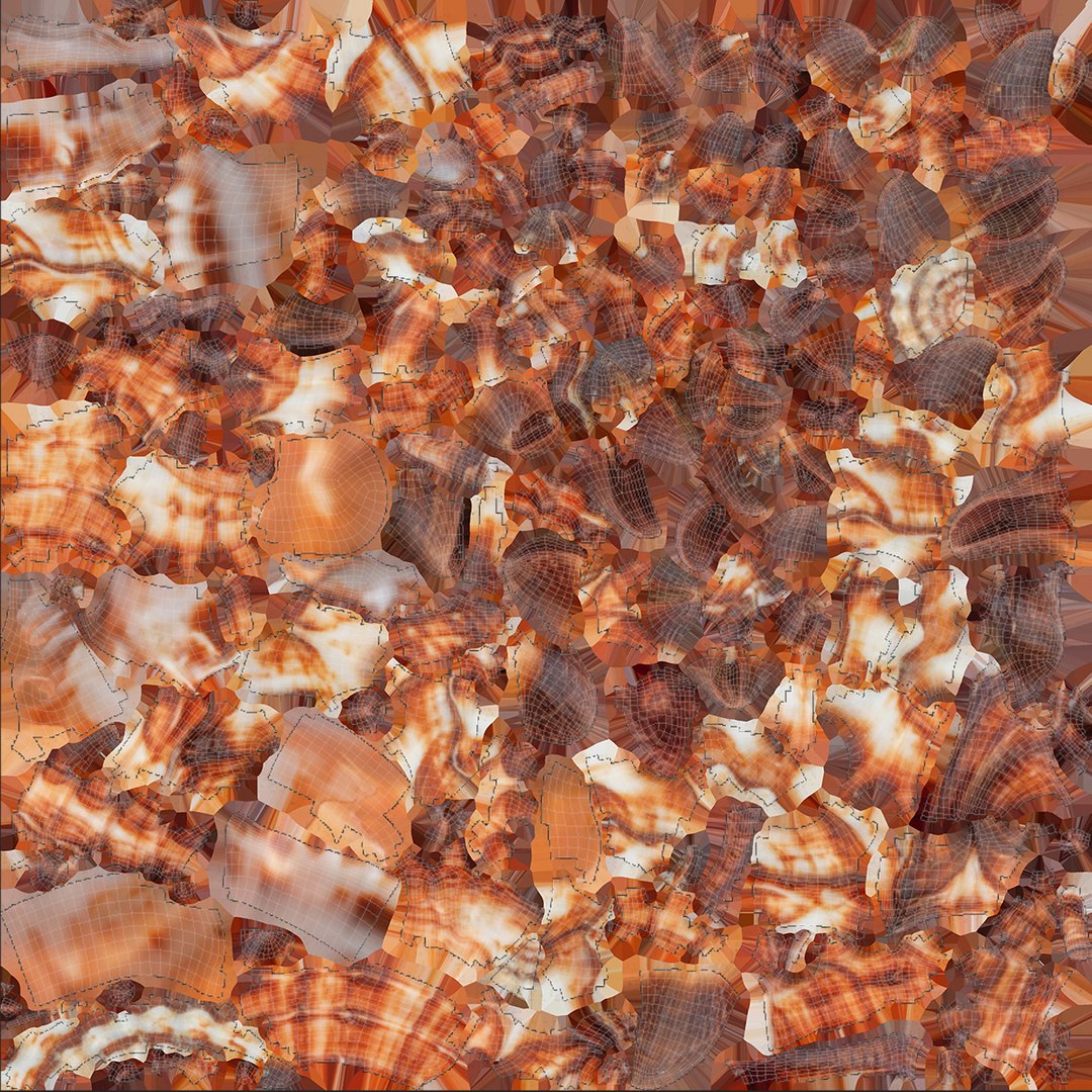 Vasum Tubiferum Sea Shell 3D - TurboSquid 2079374