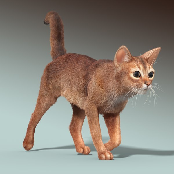 3d model abyssinian cat 2 fur
