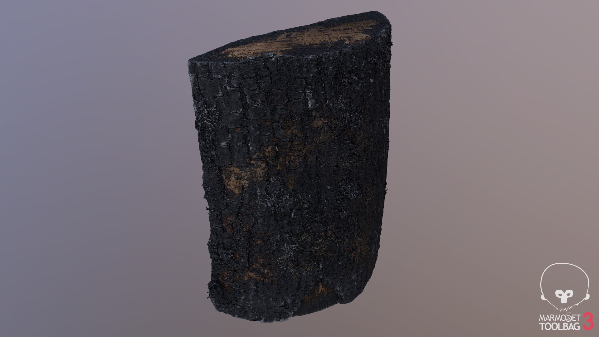 Burnt Firewood Log 02 3D Model - TurboSquid 1984395