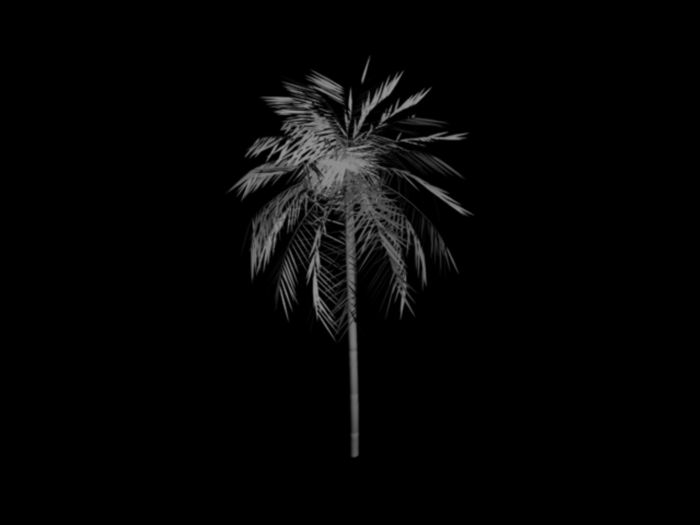 3d palm tree