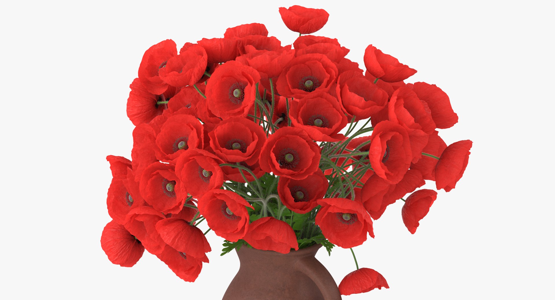 Poppy Rustic 3D Model - TurboSquid 1833126