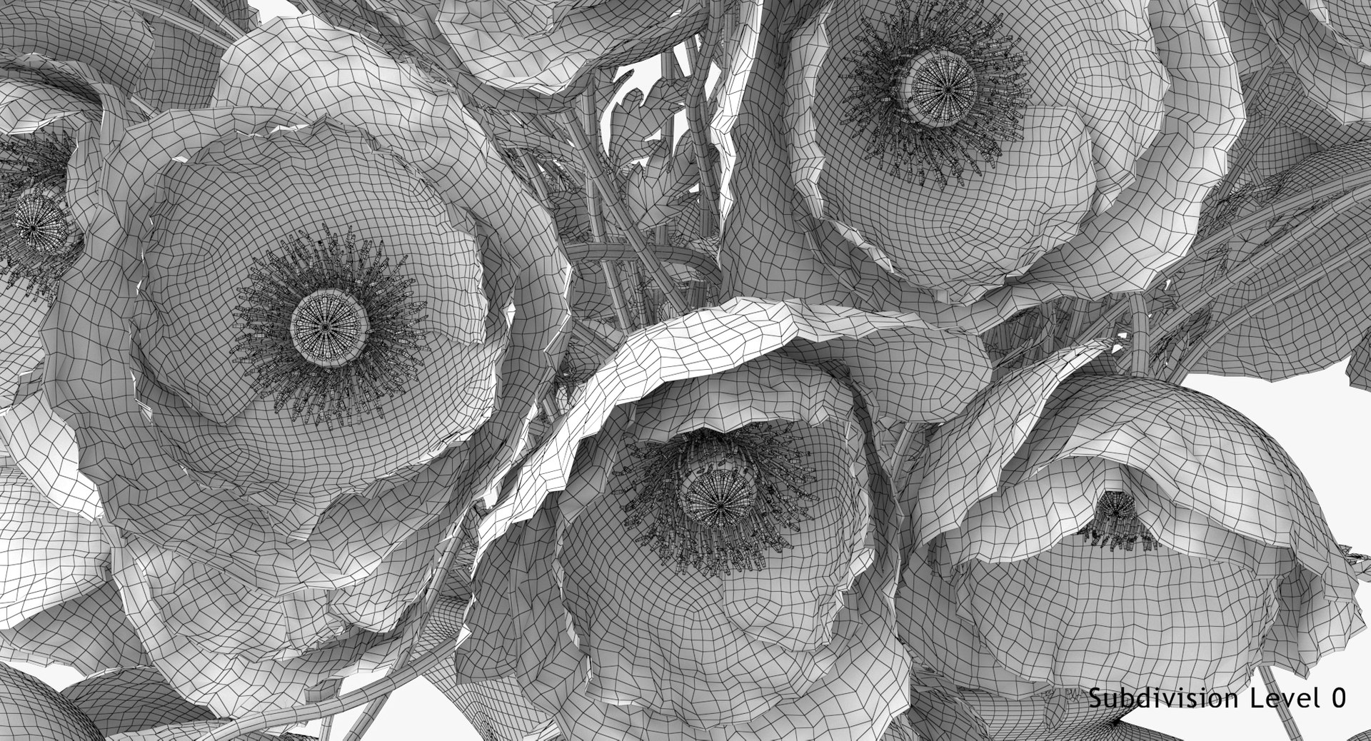 Poppy Rustic 3D Model - TurboSquid 1833126