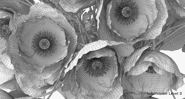 Poppy Rustic 3D model - TurboSquid 1833126