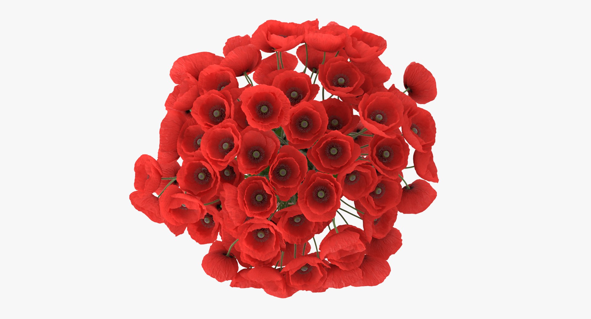 Poppy Rustic 3D Model - TurboSquid 1833126