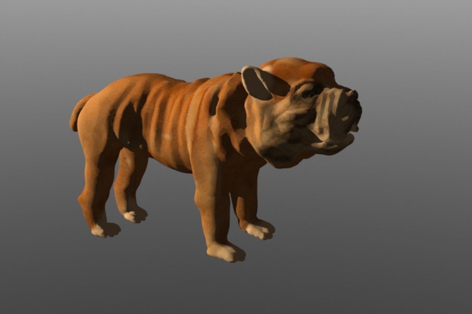 Bulldog Dog 3d Lwo