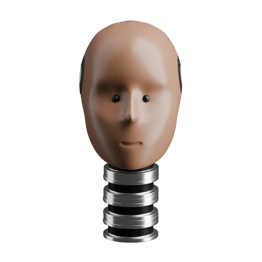 3D Crash Test Female Head - TurboSquid 2168028