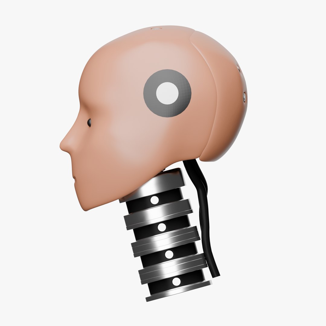 3D Crash Test Female Head - TurboSquid 2168028