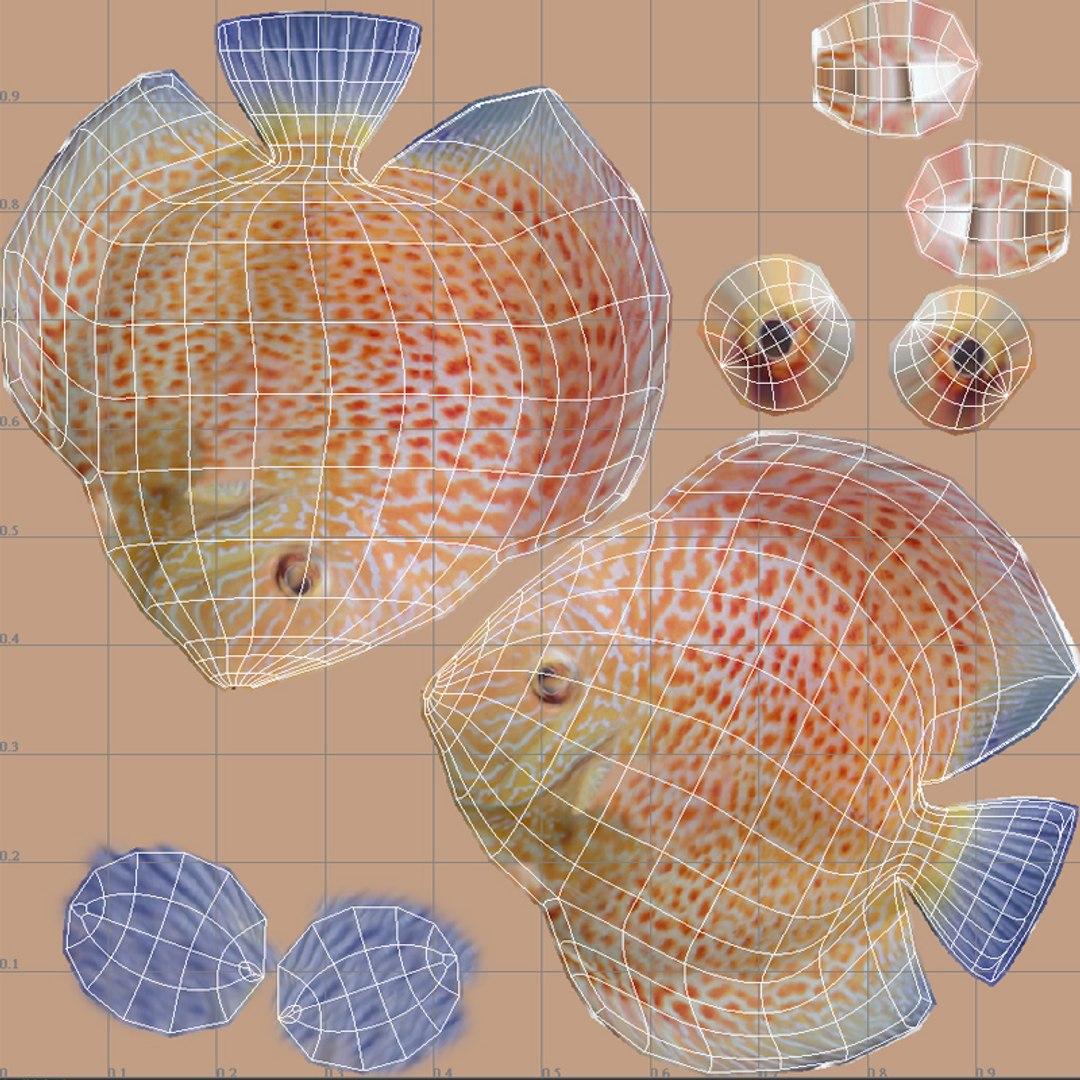 Discus 3D Model - TurboSquid 2192063