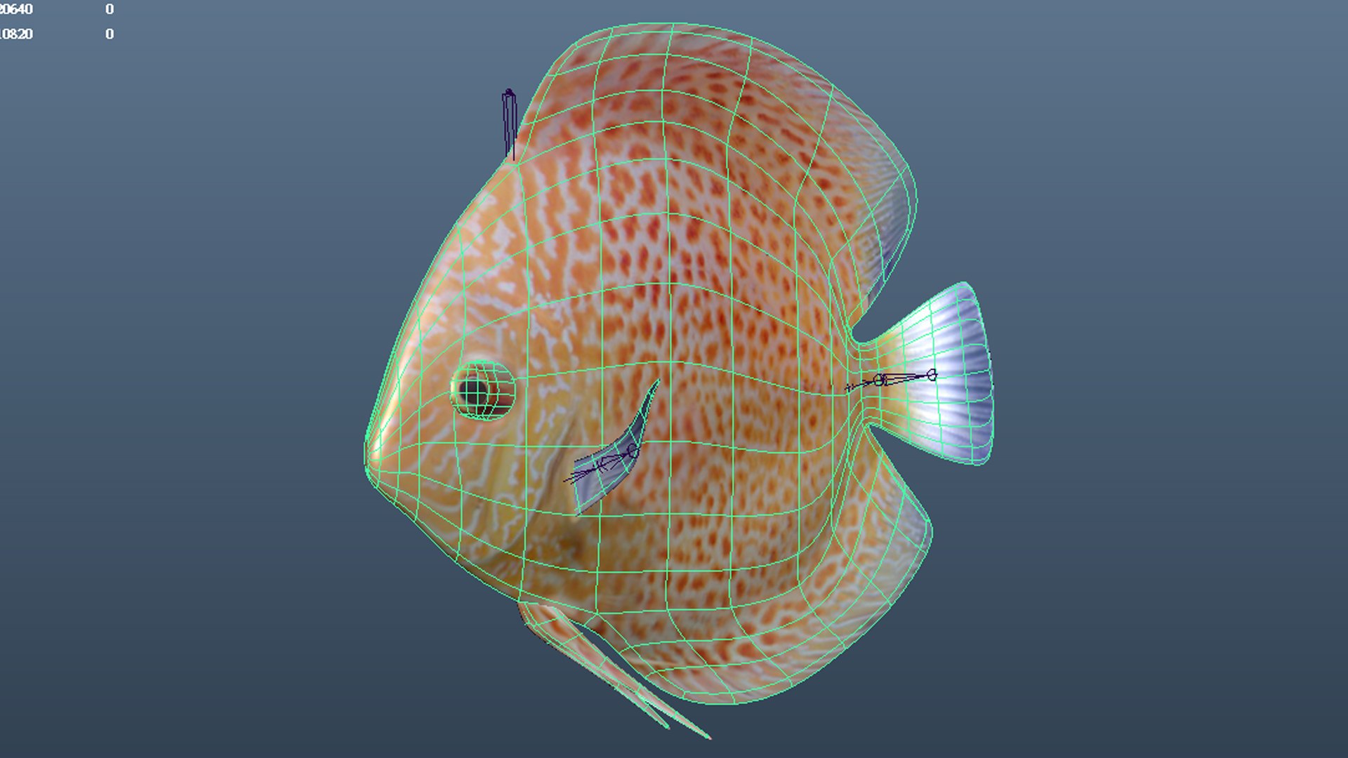 Discus 3D Model - TurboSquid 2192063