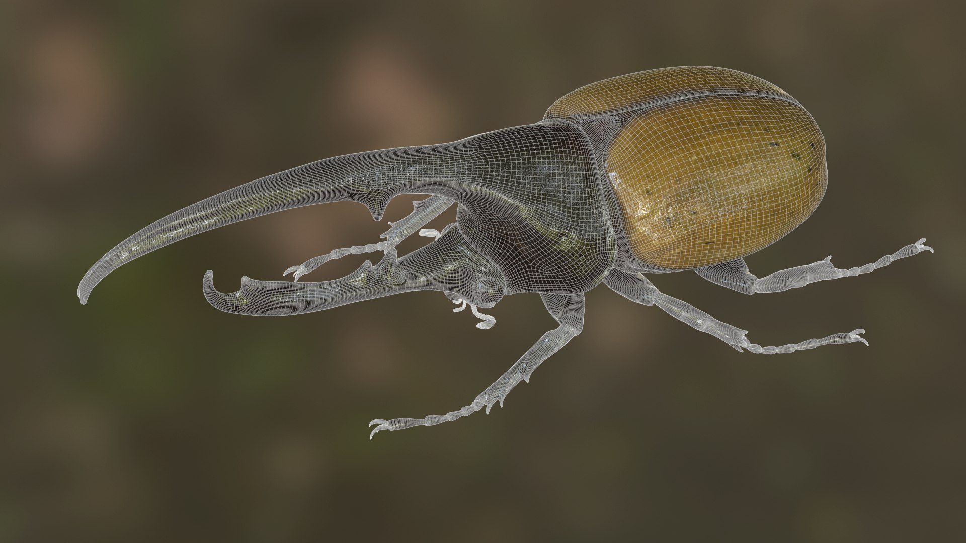 hercules beetle realistic pbr 3d max
