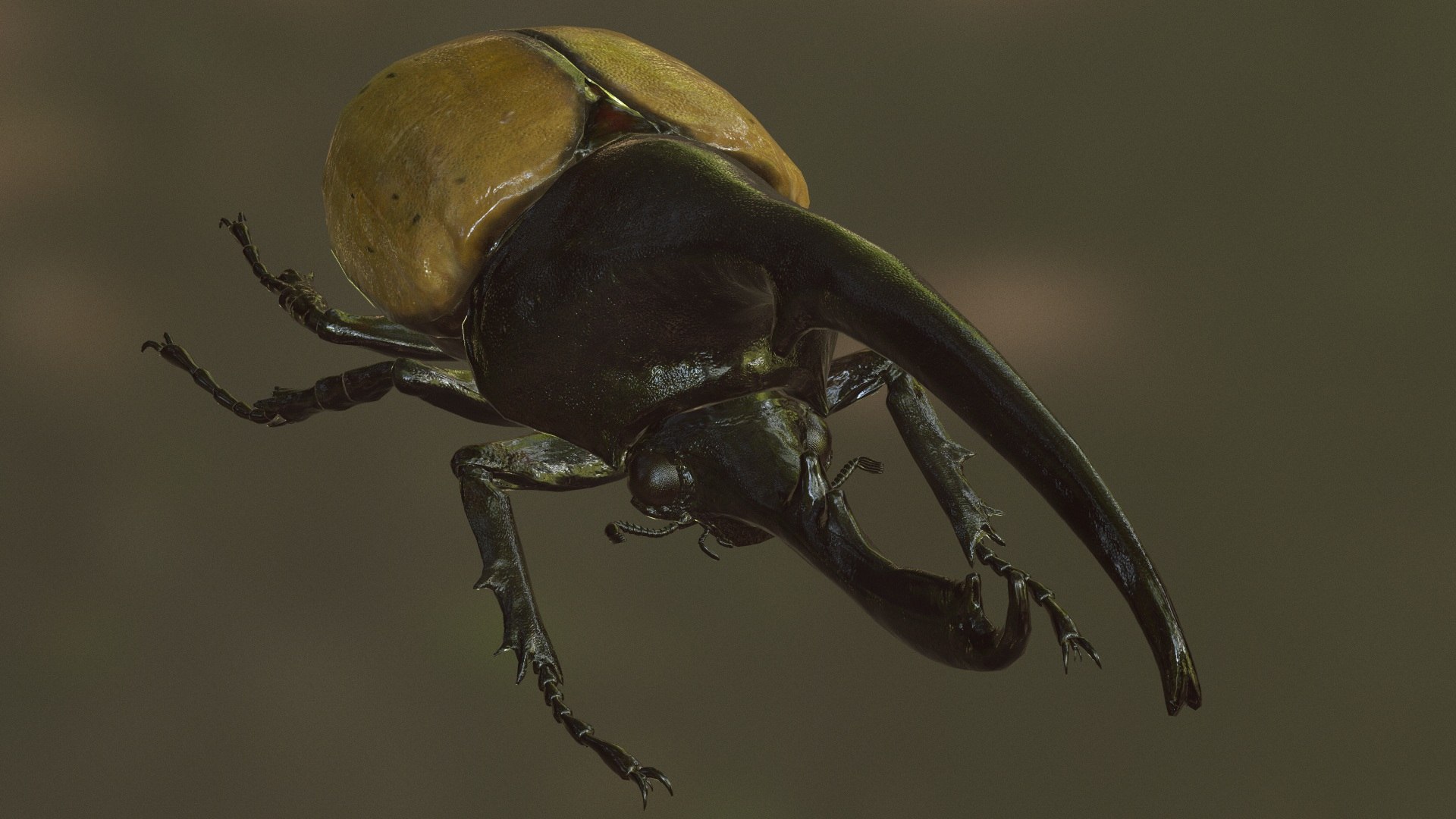 Hercules Beetle Realistic Pbr 3d Max