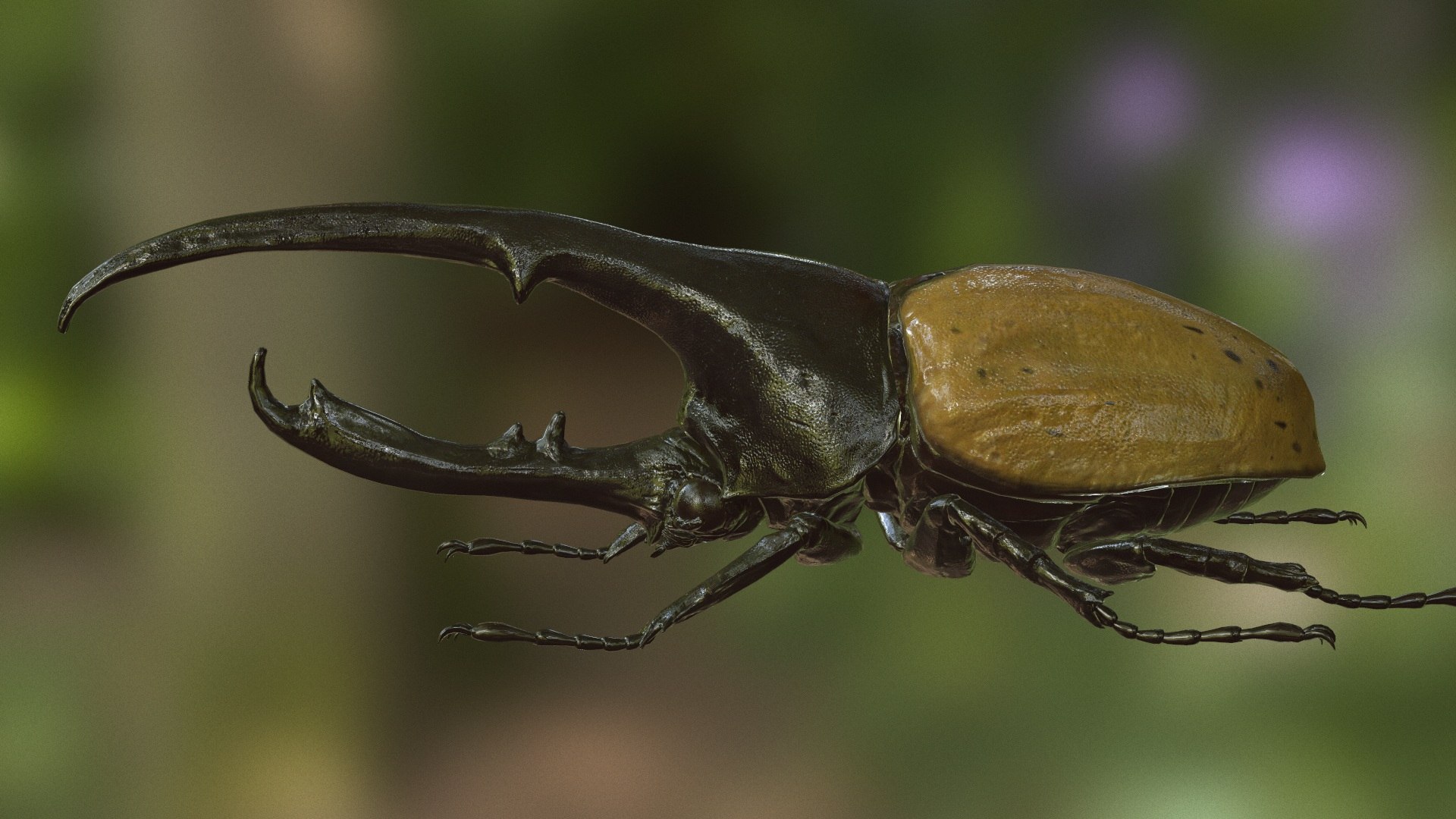 Hercules Beetle Realistic Pbr 3d Max