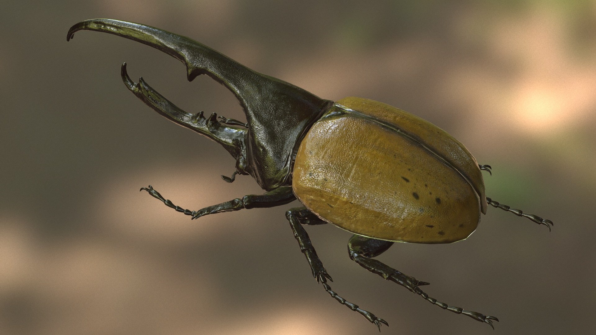 Hercules Beetle Realistic Pbr 3d Max