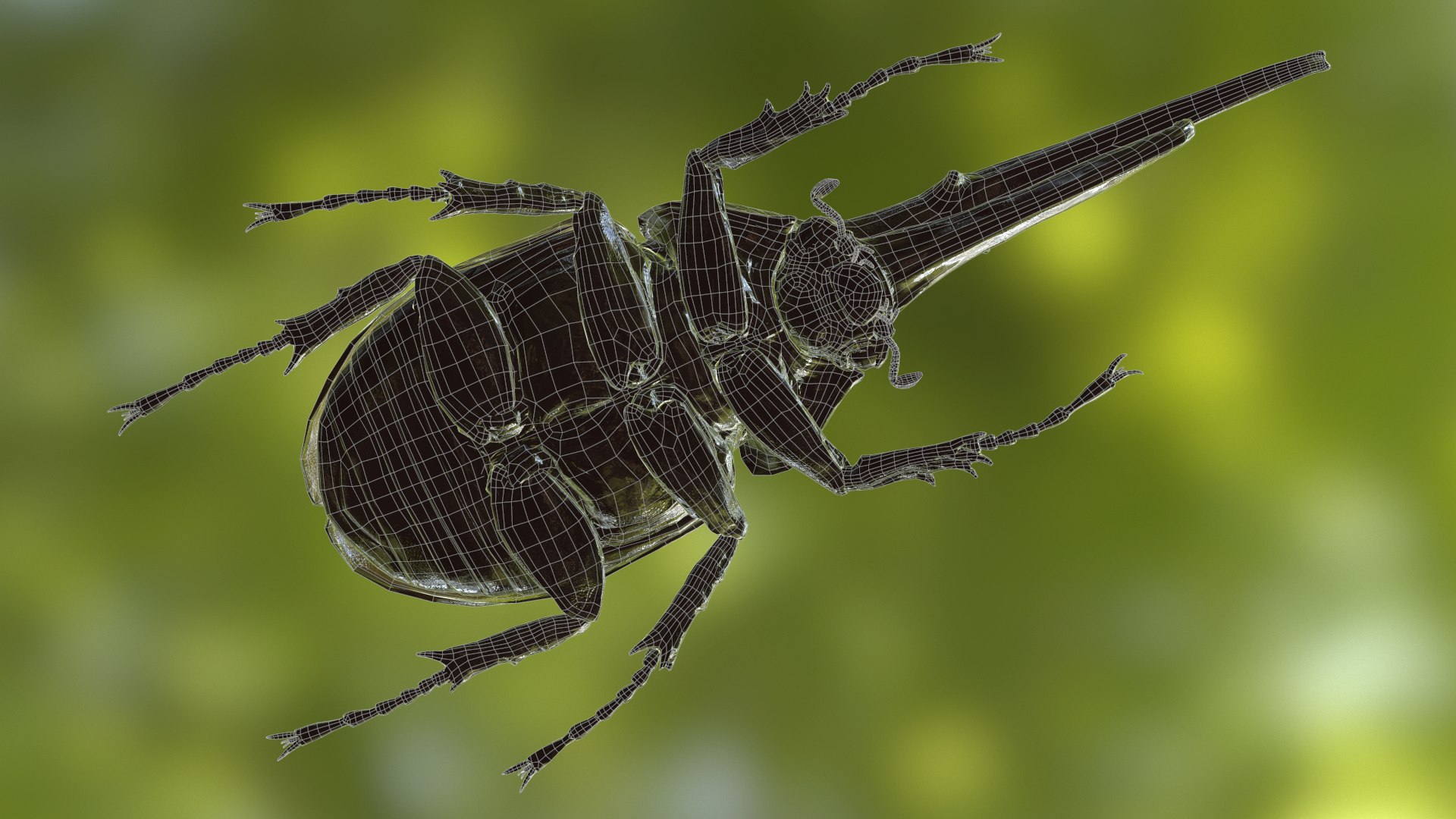 hercules beetle realistic pbr 3d max