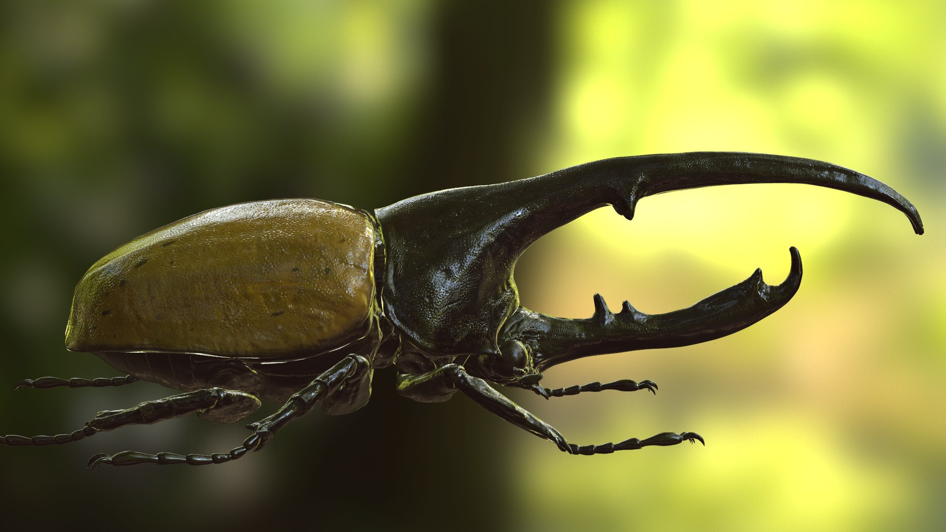 Hercules Beetle Realistic Pbr 3d Max