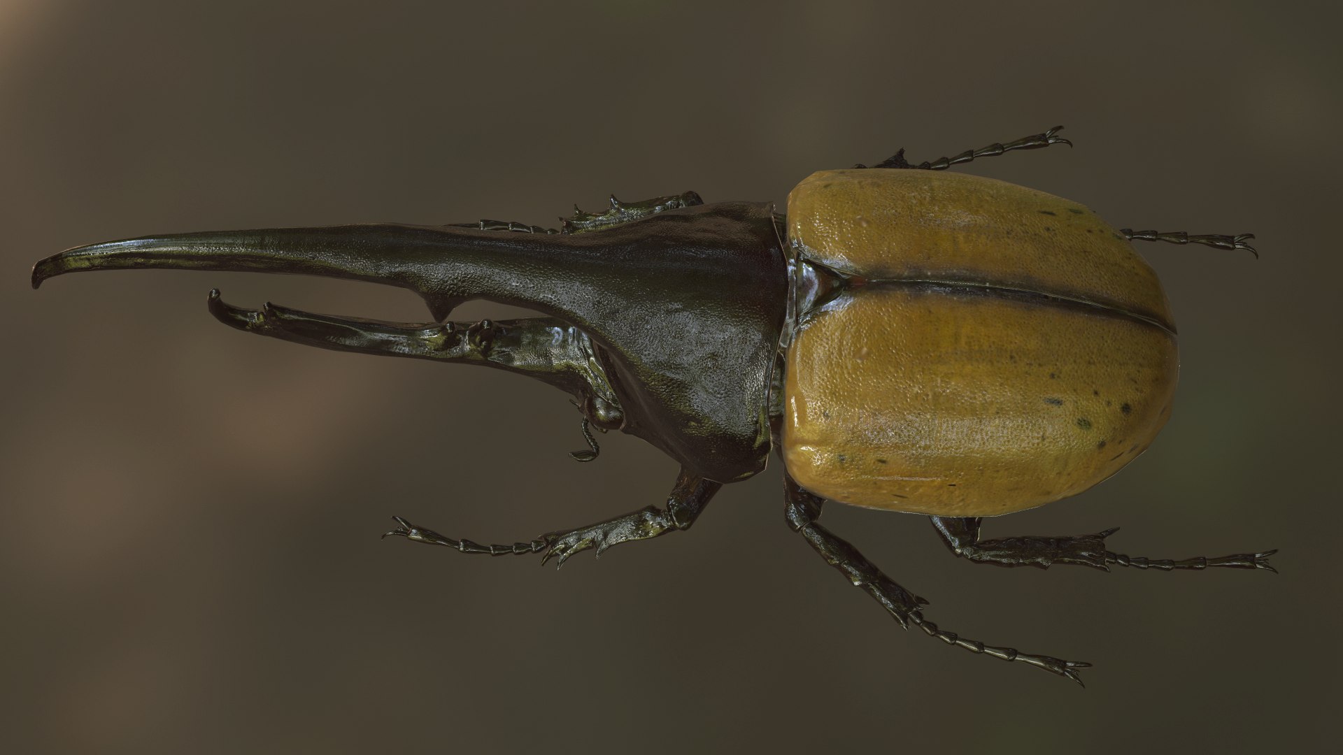 Hercules Beetle Realistic Pbr 3d Max