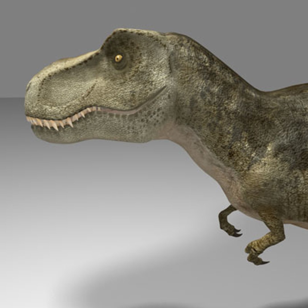 T-rex 3d Model