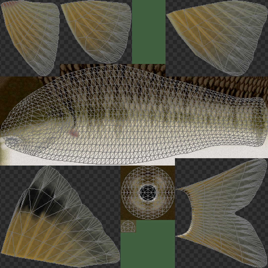Swimming 3d Model