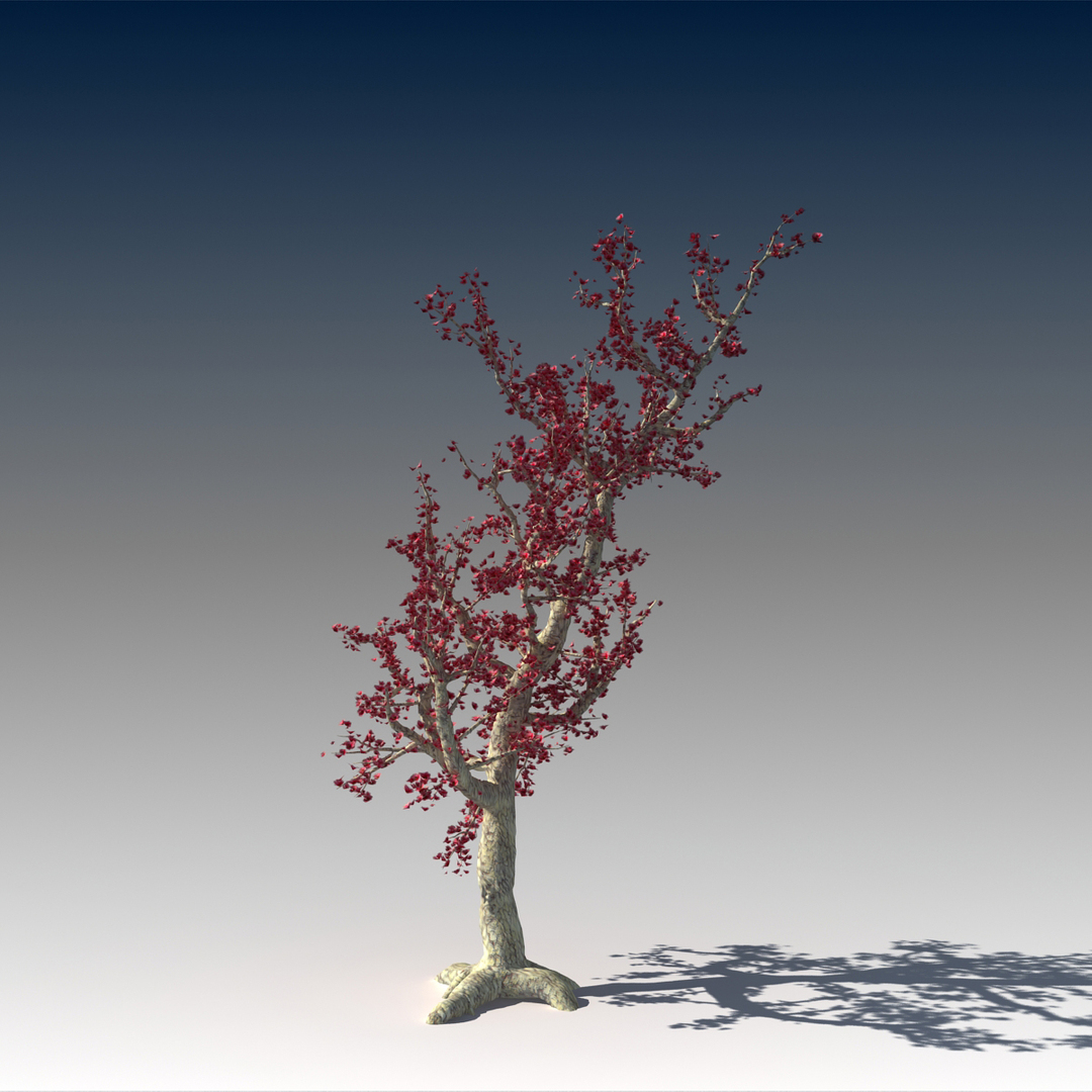3dsmax Realistic Tree Flowers