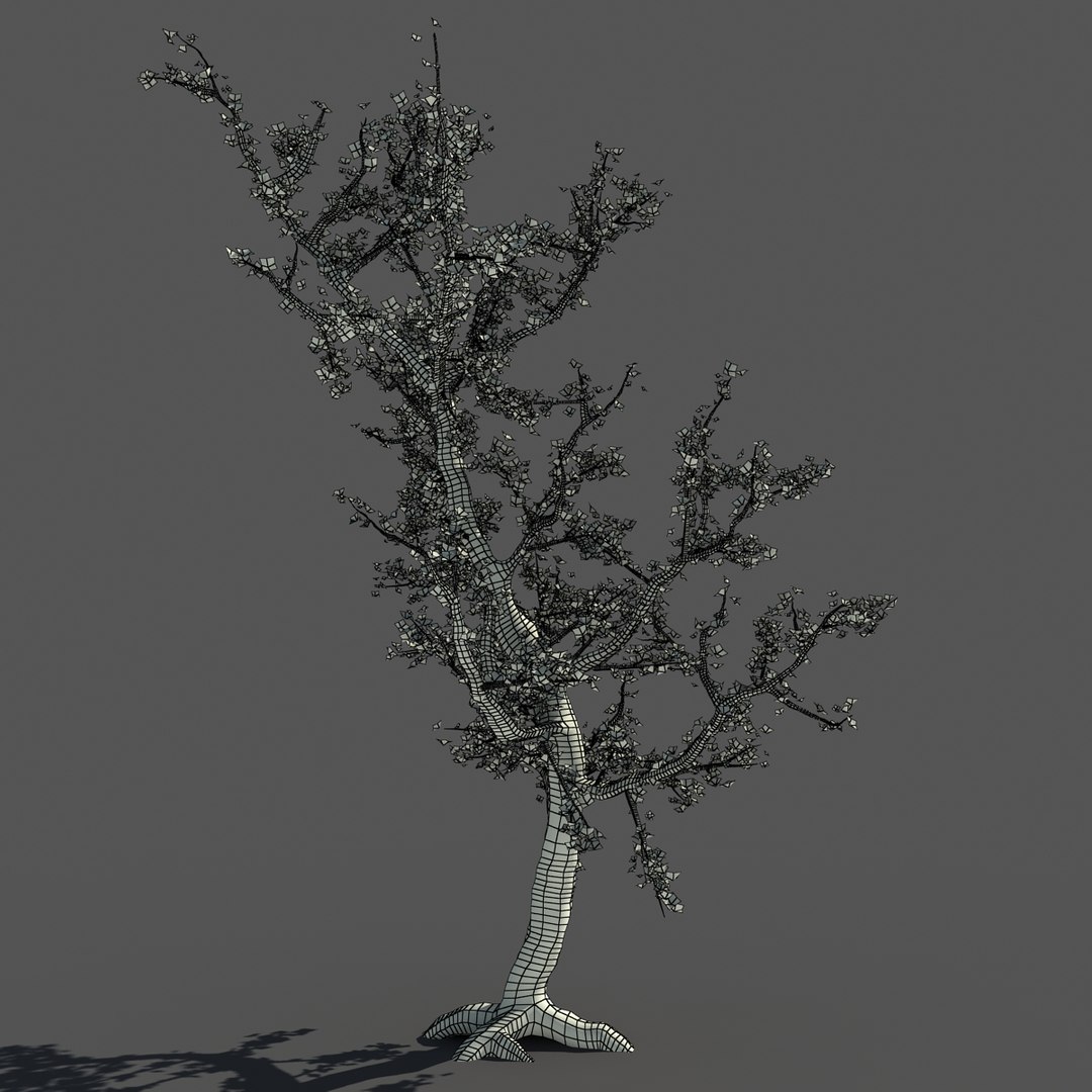 3dsmax Realistic Tree Flowers