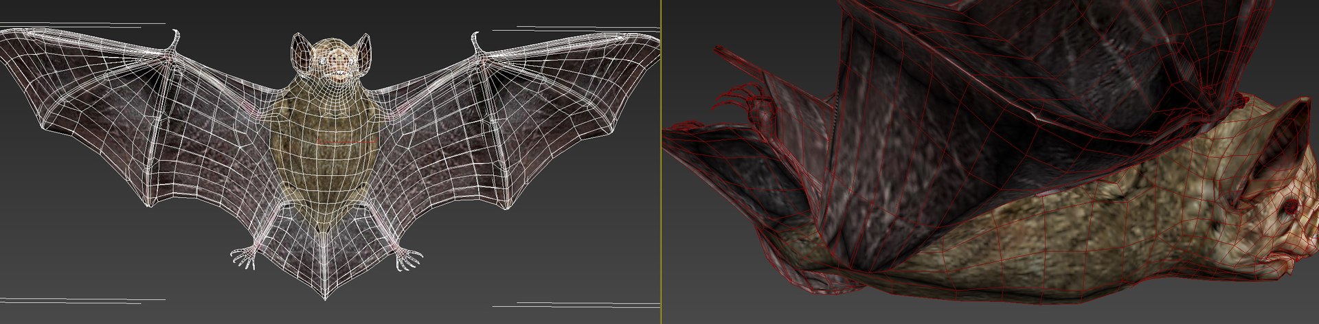 Bat rigging animation 3D - TurboSquid 1210336