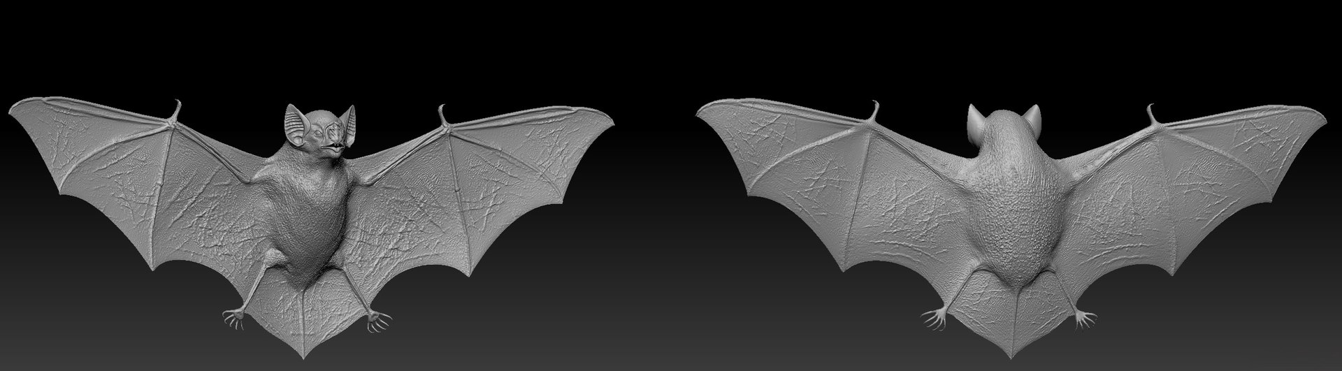 Bat rigging animation 3D - TurboSquid 1210336