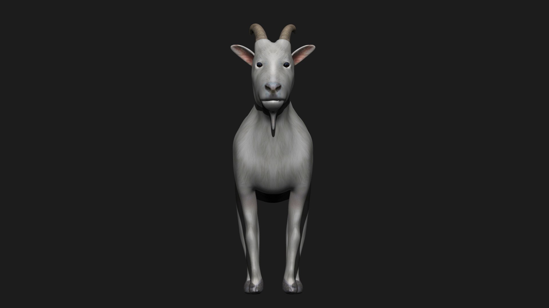 Fully Rigged White Goat Model - TurboSquid 1697430
